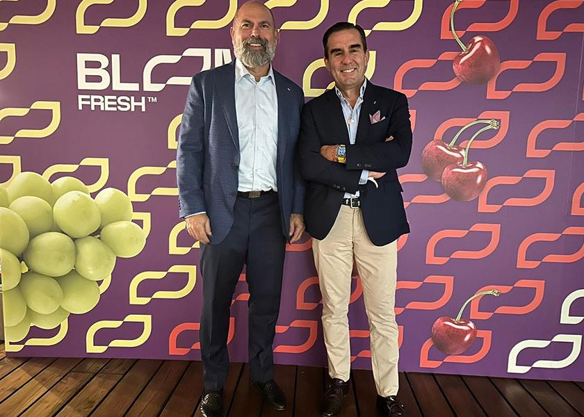 Bloom Fresh unveils new corporate identity at Fruit Attraction 2023 | The Packer